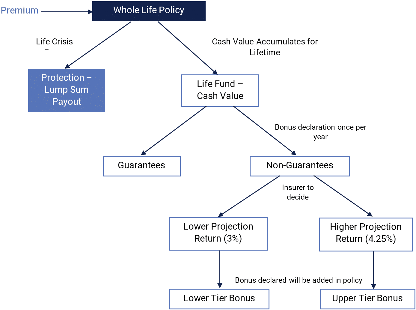 Term vs. Whole Life Insurance: Key Differences - Havend